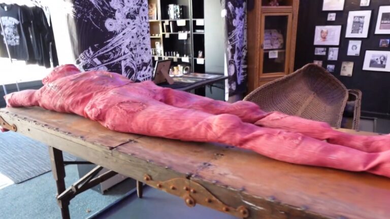 Inside Michigan’s First Multi-Story Horror Museum - A Chilling ...